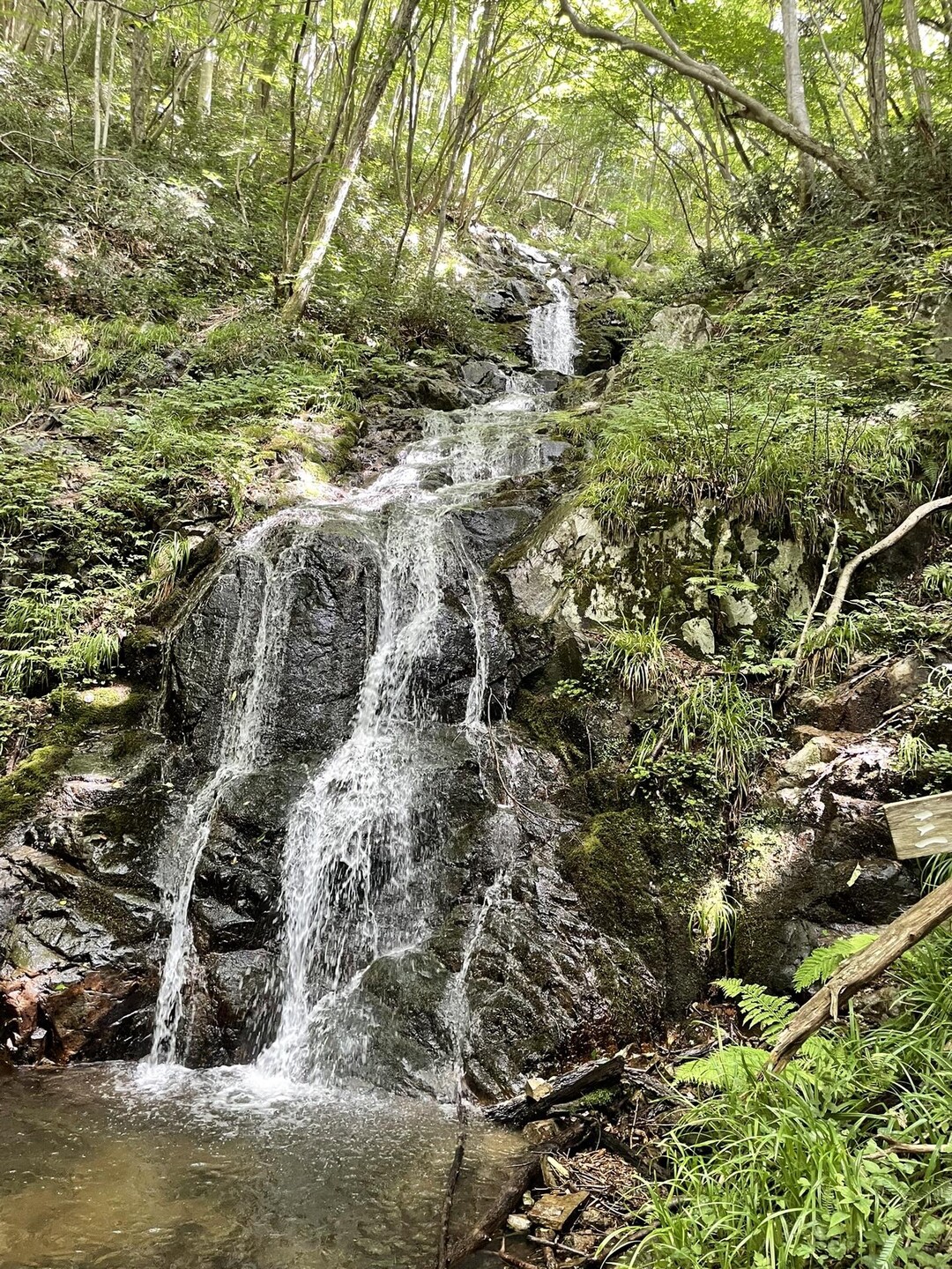 「毛無山(福田頭)」 / gun グンさんの福田頭（毛無山）の活動データ | YAMAP / ヤマップ