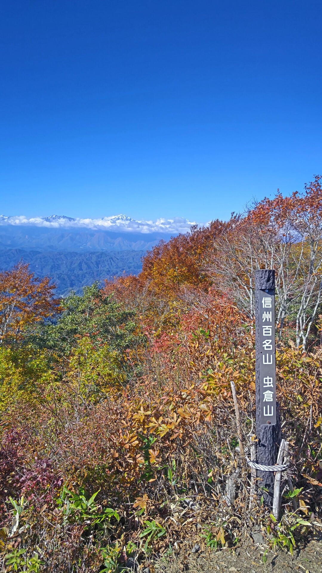 虫倉山 / minaさんの砂鉢山・虫倉山の活動データ | YAMAP / ヤマップ