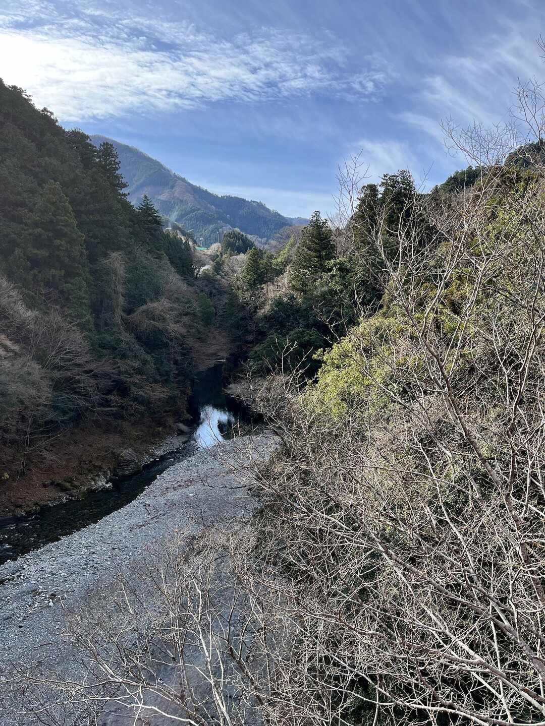登計トレイル、愛宕山(あたごやま) / M. SATOKOさんの大岳山・御岳山・御前山の活動データ | YAMAP / ヤマップ