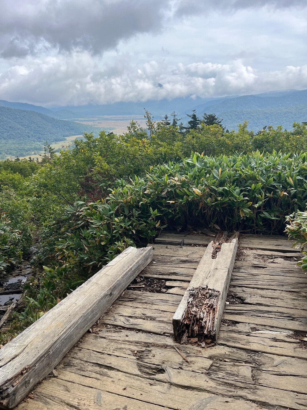 Megさんの投稿したフィールドメモ | YAMAP / ヤマップ