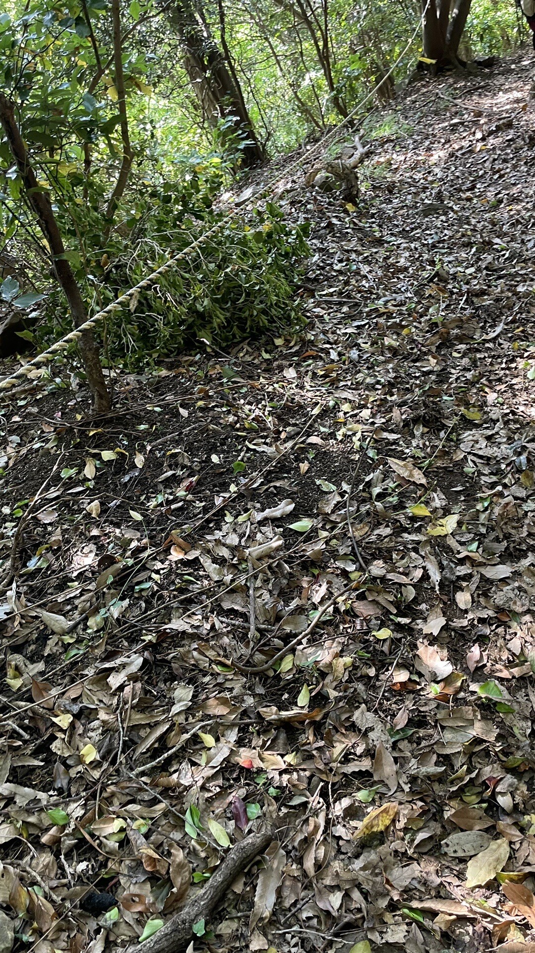 pickji28さんの投稿したフィールドメモ | YAMAP / ヤマップ