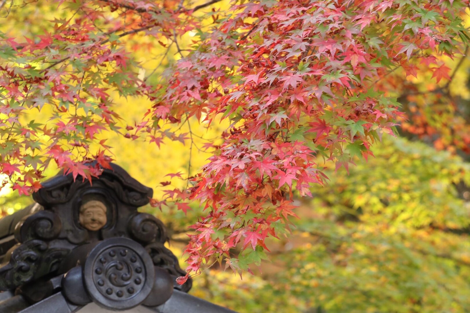 岩国紅葉谷公園 和風と森と赤ちゃん（動... / GONKEさんのモーメント | YAMAP / ヤマップ