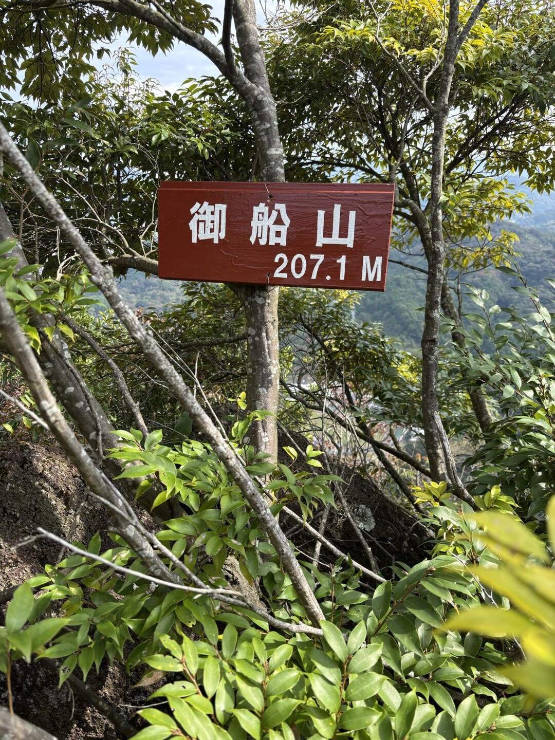 御船山⛰️207.1m / あ〜さんさんの御船山の活動データ | YAMAP / ヤマップ