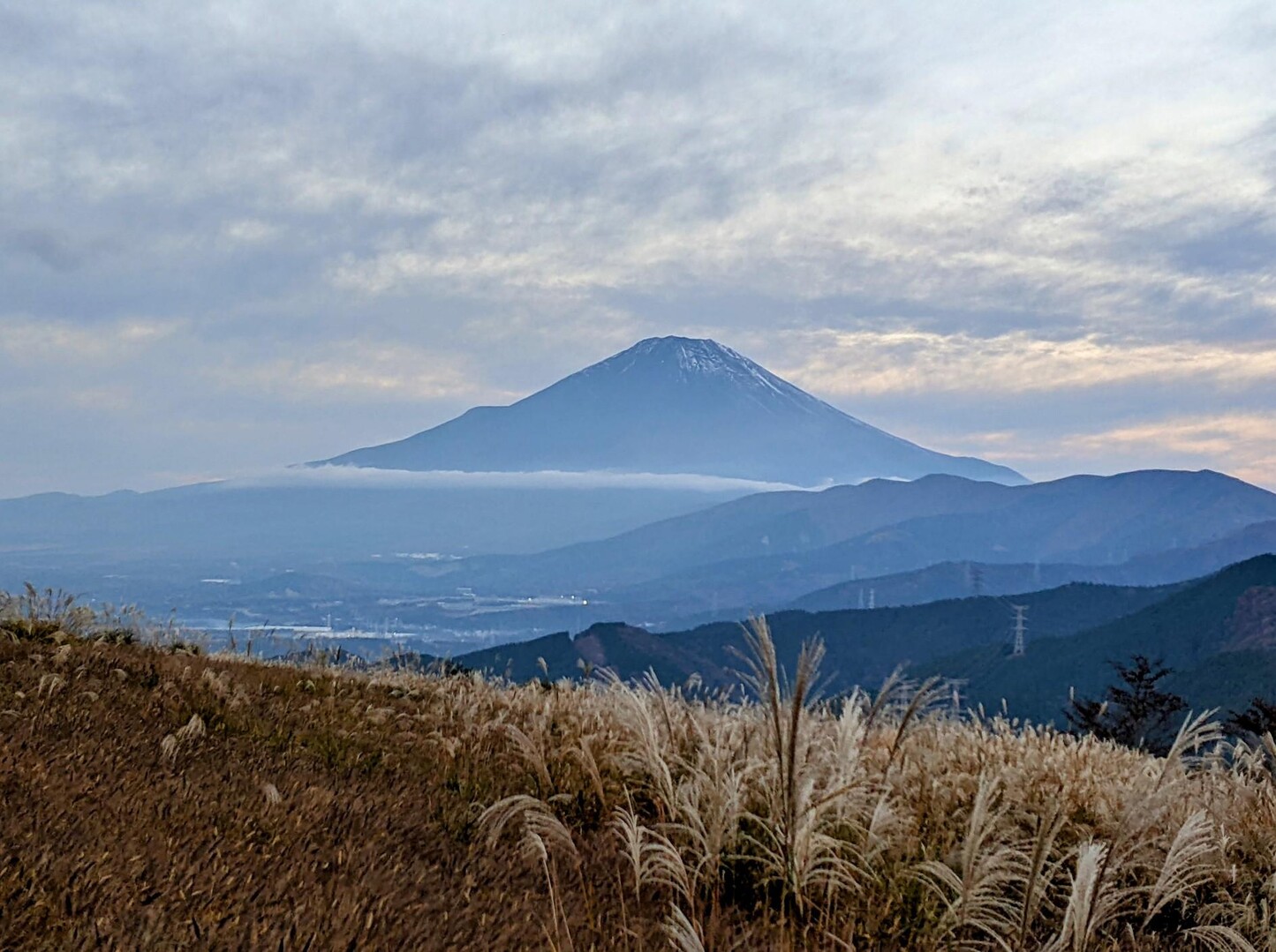 大野山 / MASAPさんの高松山・大野山の活動データ | YAMAP / ヤマップ