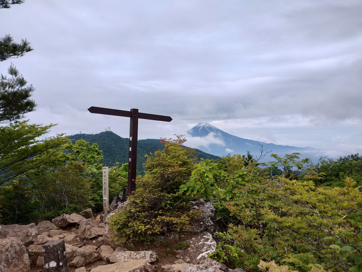 本社ヶ丸・石切山 / KAAZ さんの三ッ峠山・本社ヶ丸・鶴ヶ鳥屋山の活動データ | YAMAP / ヤマップ