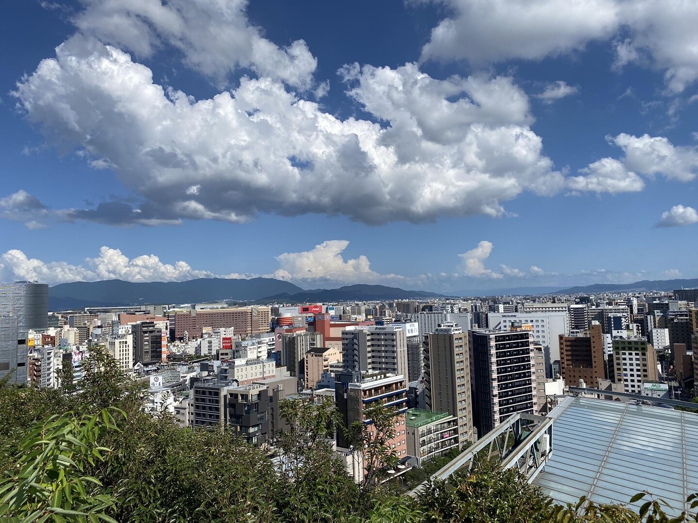 アクロス山 / kayoさんのアクロス山の活動データ | YAMAP / ヤマップ