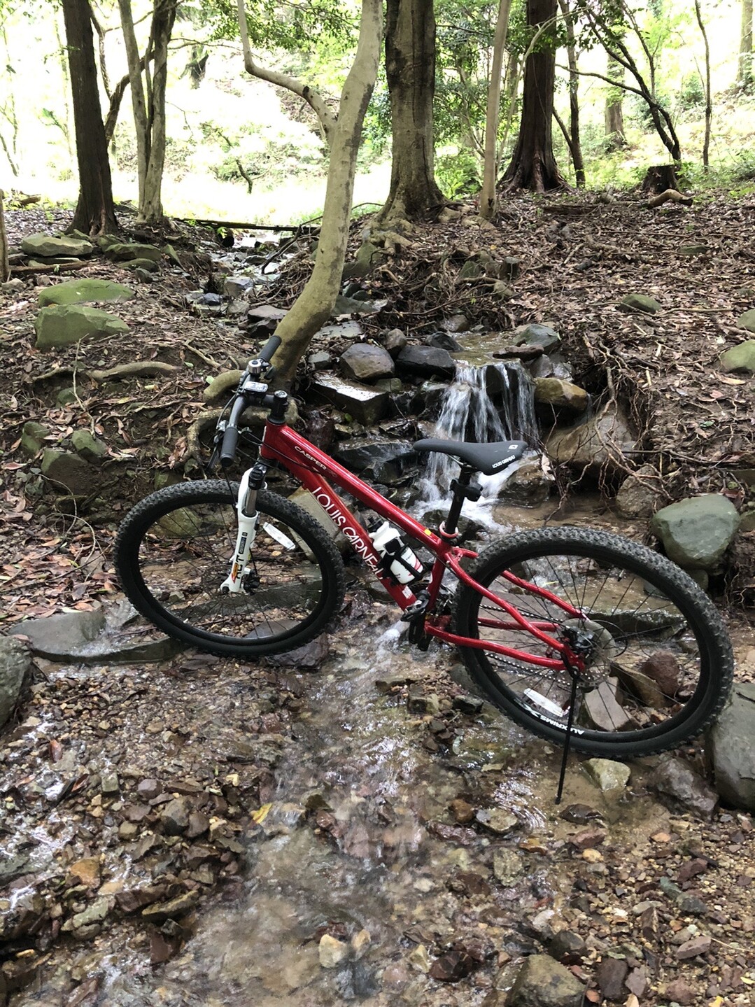 【下関】みさか自然の森、MTBライド / YS-153さんの竜王山・鋤尖山・鬼ヶ城の活動データ | YAMAP / ヤマップ