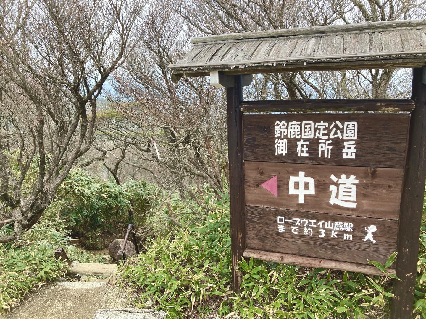 御在所岳 ↑↓中登山道 / m-ponさんの御在所岳（御在所山）・雨乞岳の活動データ | YAMAP / ヤマップ