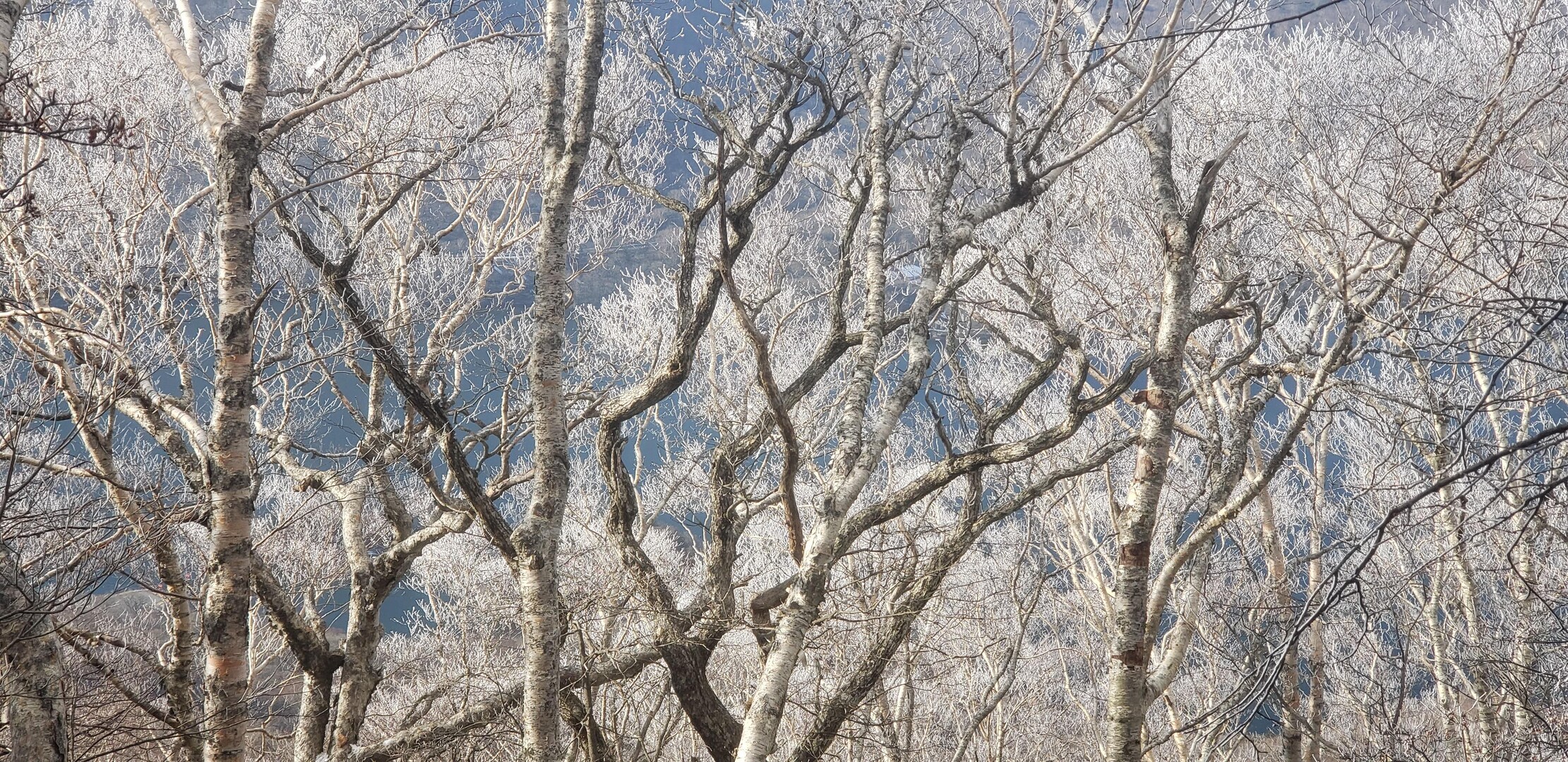 黒檜山・駒ヶ岳 / Shuu-jiさんの赤城山・黒檜山・荒山の活動データ | YAMAP / ヤマップ