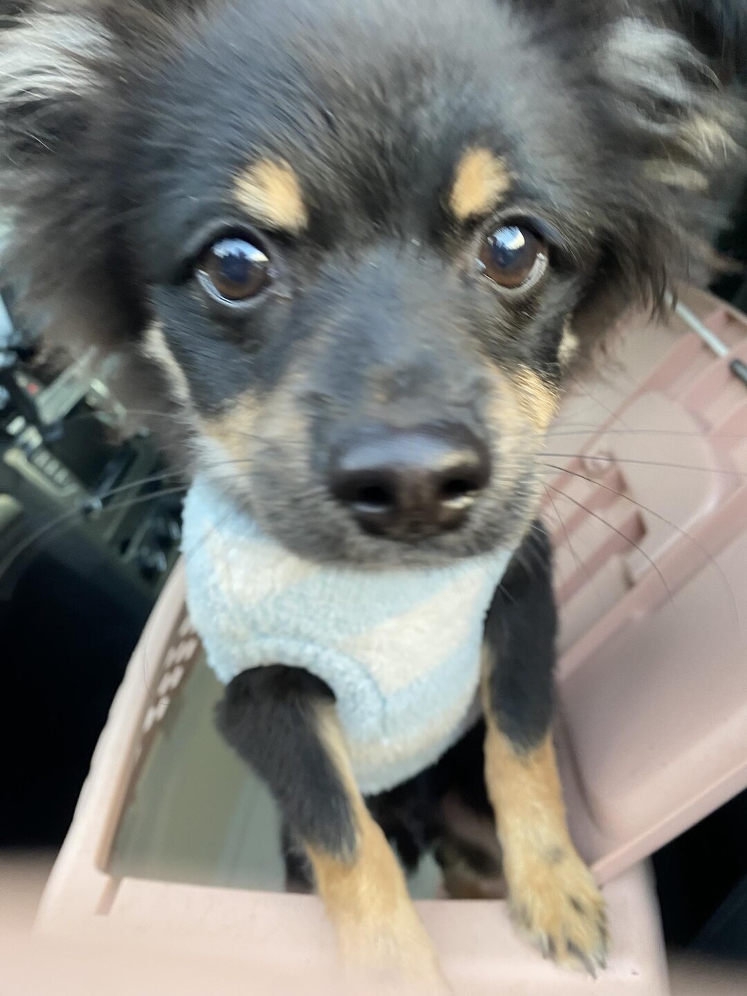 RIK隊長と多度山 / 松本野クルSKIさんの多度山・美濃松山・石津御嶽の活動データ | YAMAP / ヤマップ