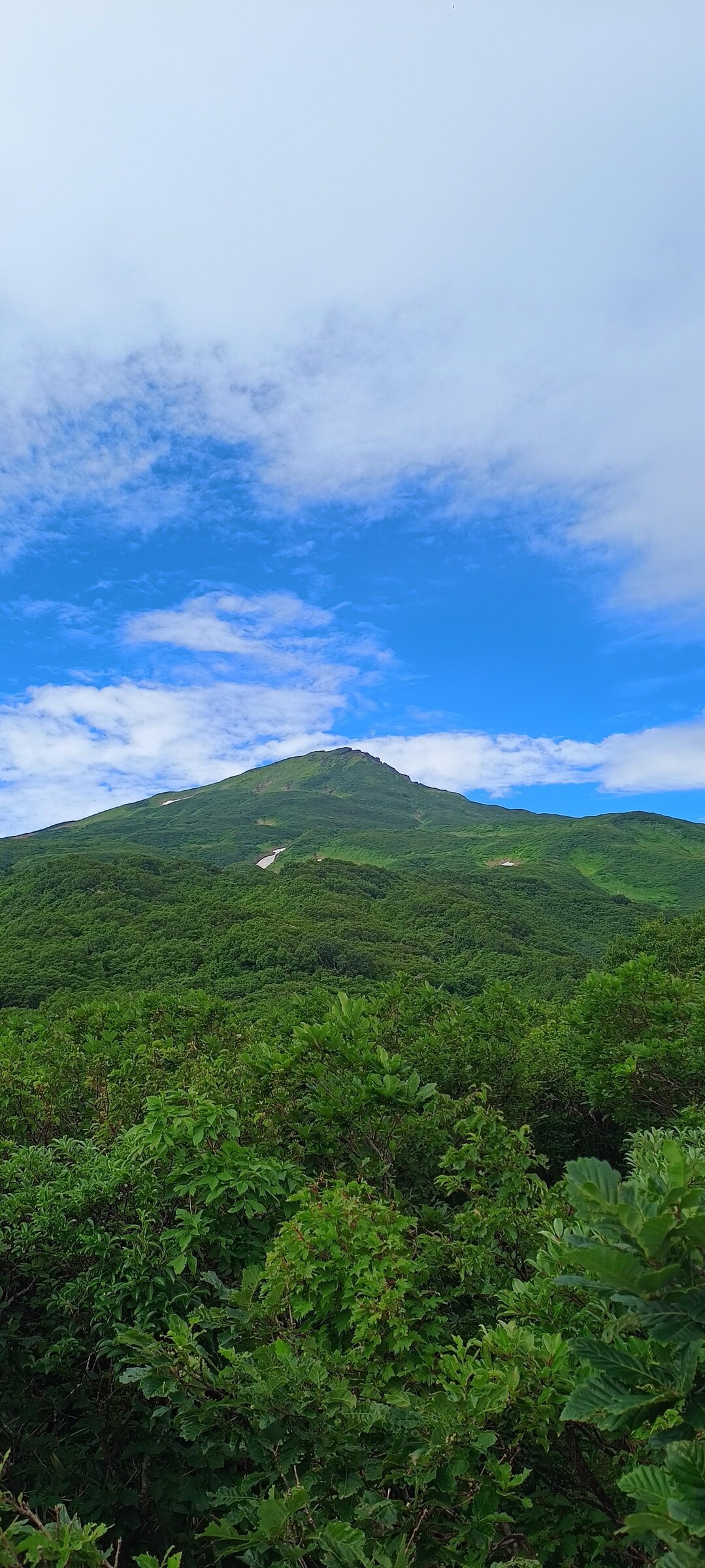 七高山 猿倉→祓川 / EMMAさんの鳥海山・七高山・笙ヶ岳の活動データ | YAMAP / ヤマップ