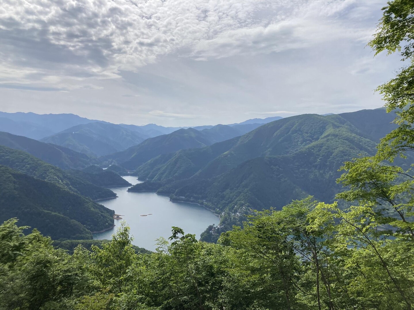 230528 鷹ノ巣•御前山 / kojikojiさんの雲取山・鷹ノ巣山・七ツ石山の活動データ | YAMAP / ヤマップ