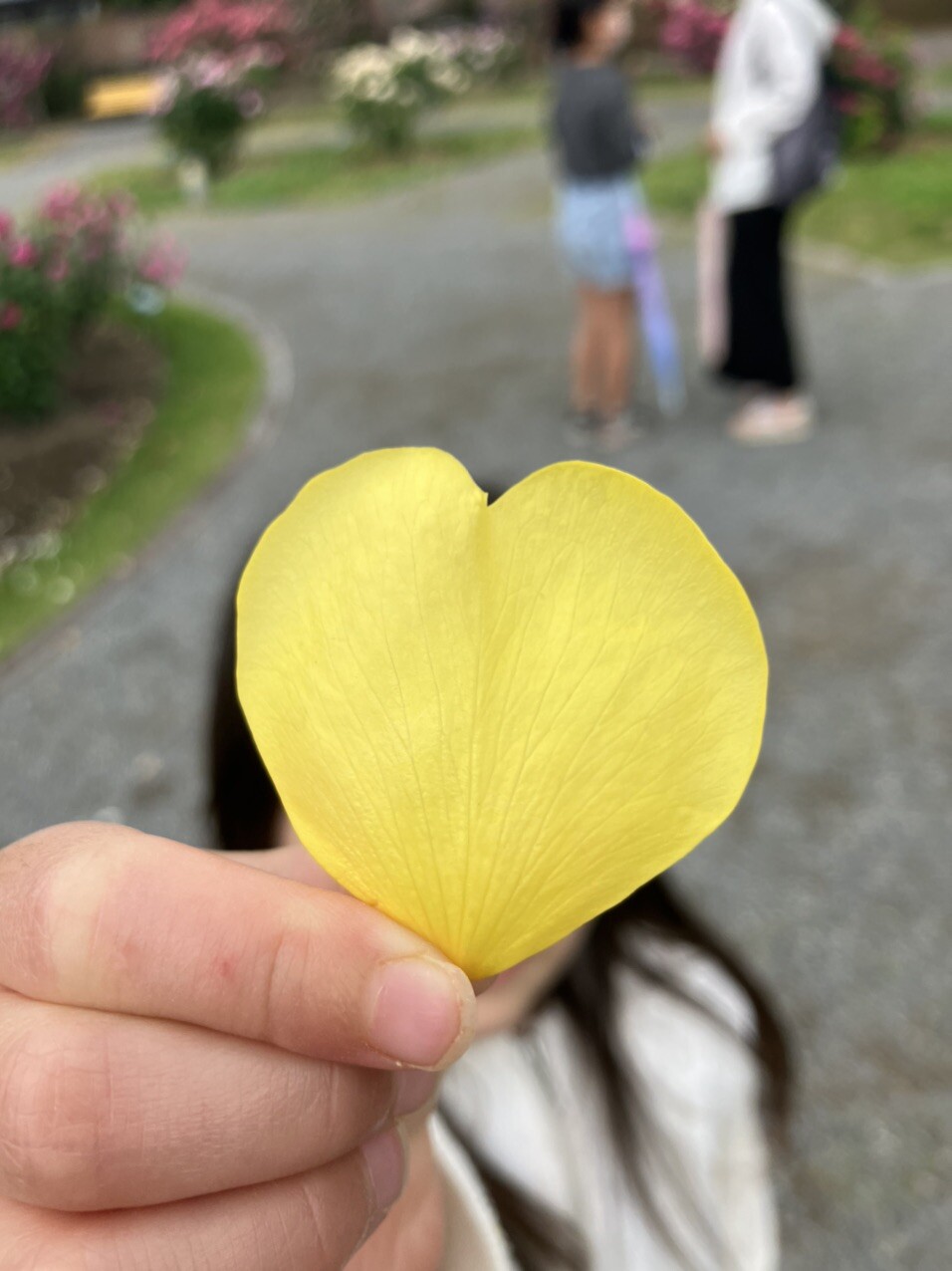 tenpiのページ | YAMAP / ヤマップ