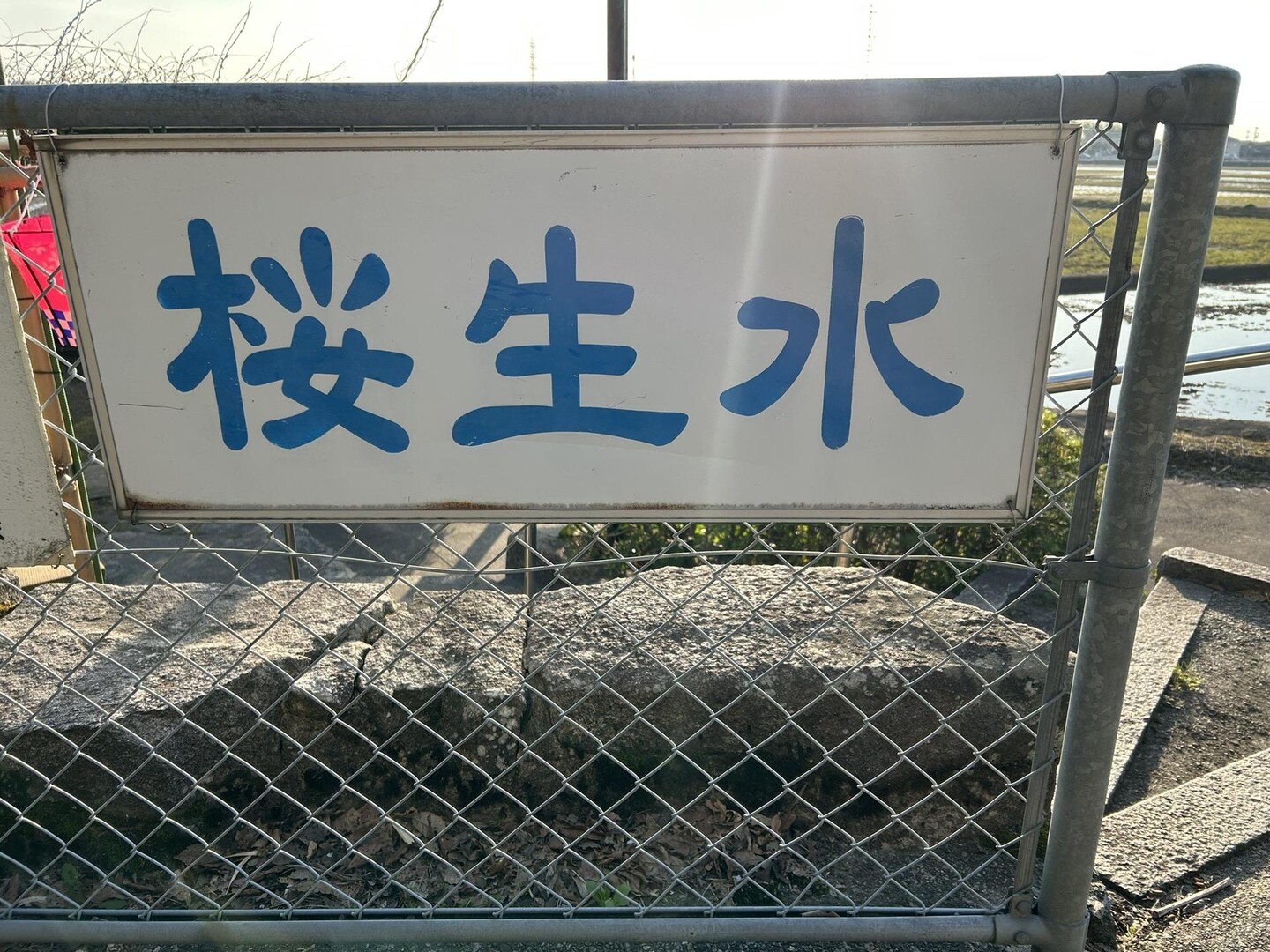 桜生水 平成の名水百選 名前通り桜🌸... / Polepole Pilotさんのモーメント | YAMAP / ヤマップ
