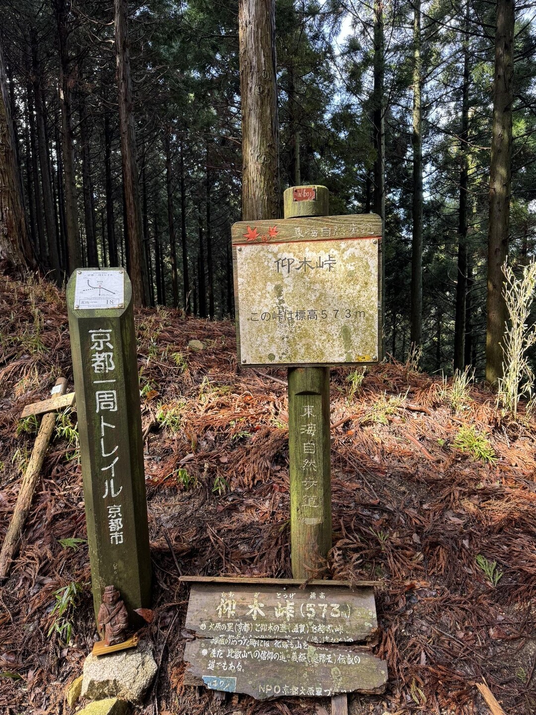 横高山・水井山 / 105sunさんの京都一周トレイルの活動データ | YAMAP / ヤマップ