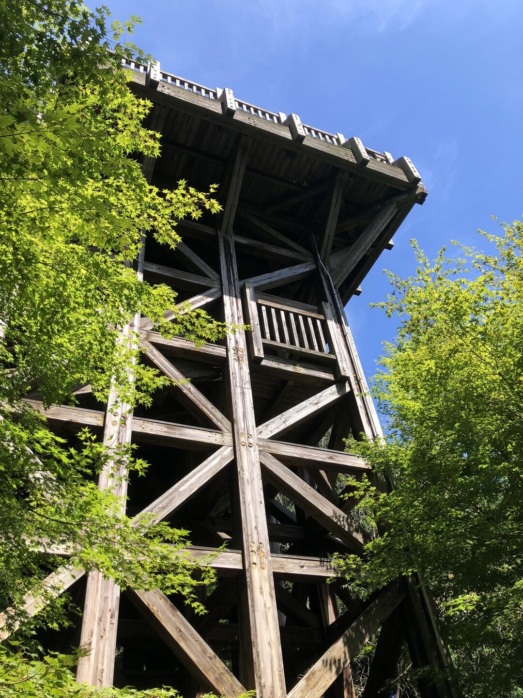 竜王山 / Montana⭐️さんの竜王山・阿武山の活動データ | YAMAP / ヤマップ