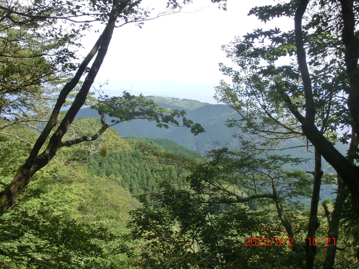 天狗谷～サネ尾 R5.9.2 / ノム健さんの金剛山・二上山・大和葛城山の活動データ | YAMAP / ヤマップ