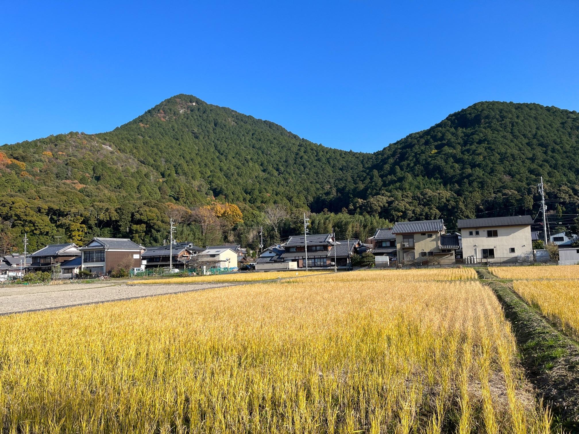女山・三上山（近江富士） / yoktak79さんの三上山・鏡山の活動データ | YAMAP / ヤマップ