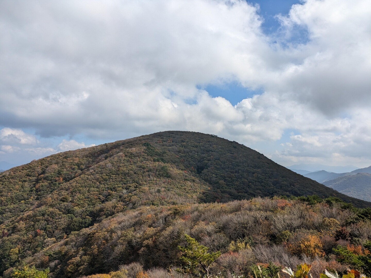 牛曳山〜伊良谷山〜毛無山〜烏帽子山 / jonasanさんの比婆山・立烏帽子山・吾妻山の活動データ | YAMAP / ヤマップ