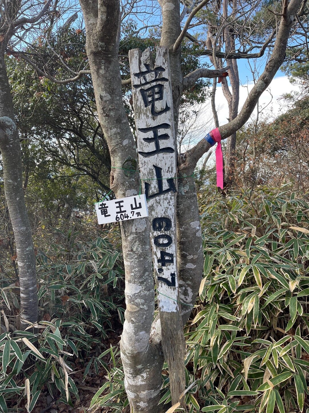 竜王山 / あつのすけさんの金勝アルプス（鶏冠山・竜王山）の活動データ | YAMAP / ヤマップ