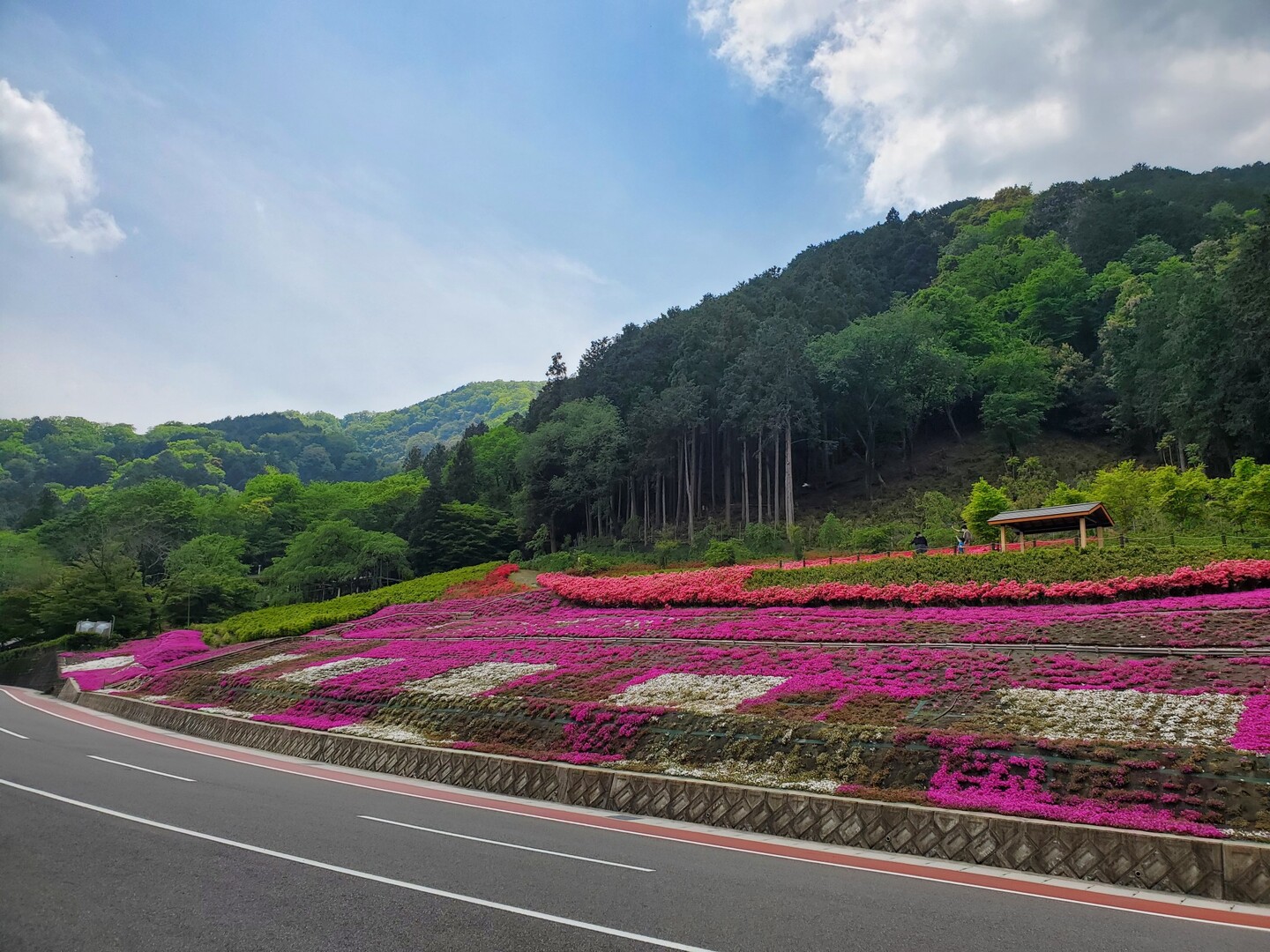 ﾓｰﾒﾝﾄ🔰です。実家から母を連れて山... / kiyoさんのモーメント | YAMAP / ヤマップ