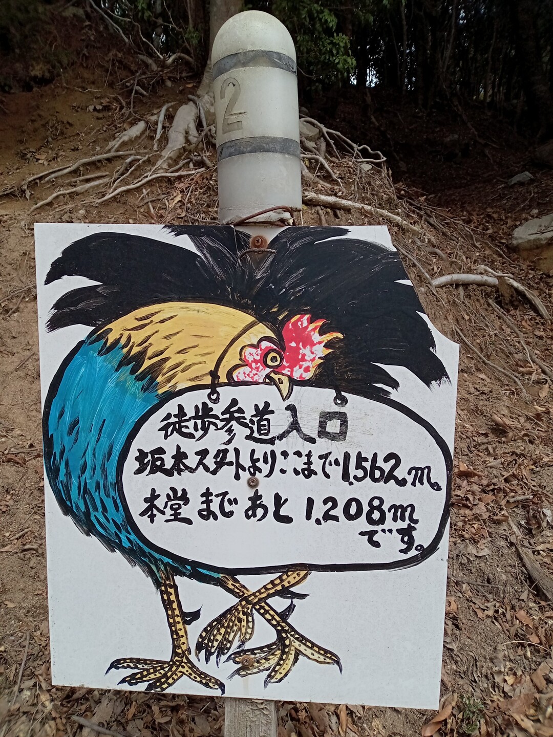 野登山（西峰）・野登山 / yuusenさんの入道ヶ岳・鎌ヶ岳・仙ヶ岳の活動データ | YAMAP / ヤマップ