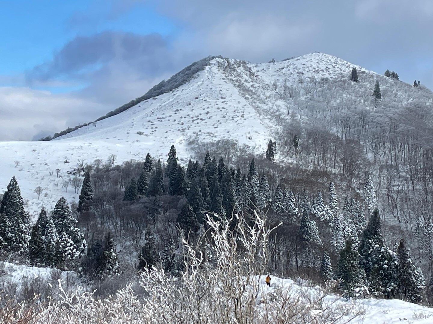 御殿山・武奈ヶ岳 / T1333さんの比良山地・武奈ヶ岳・釈迦岳の活動データ | YAMAP / ヤマップ