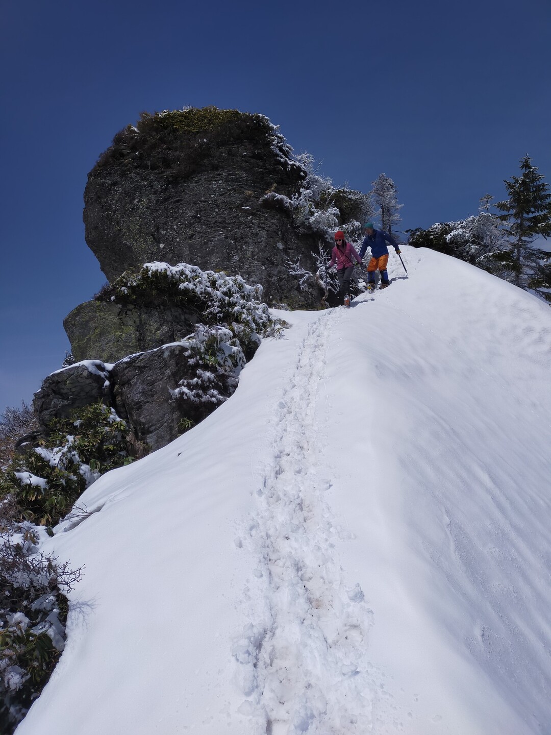 笹山・与作岳(松嵓高山)・景鶴山 / Berryさんの尾瀬・燧ヶ岳の活動データ | YAMAP / ヤマップ