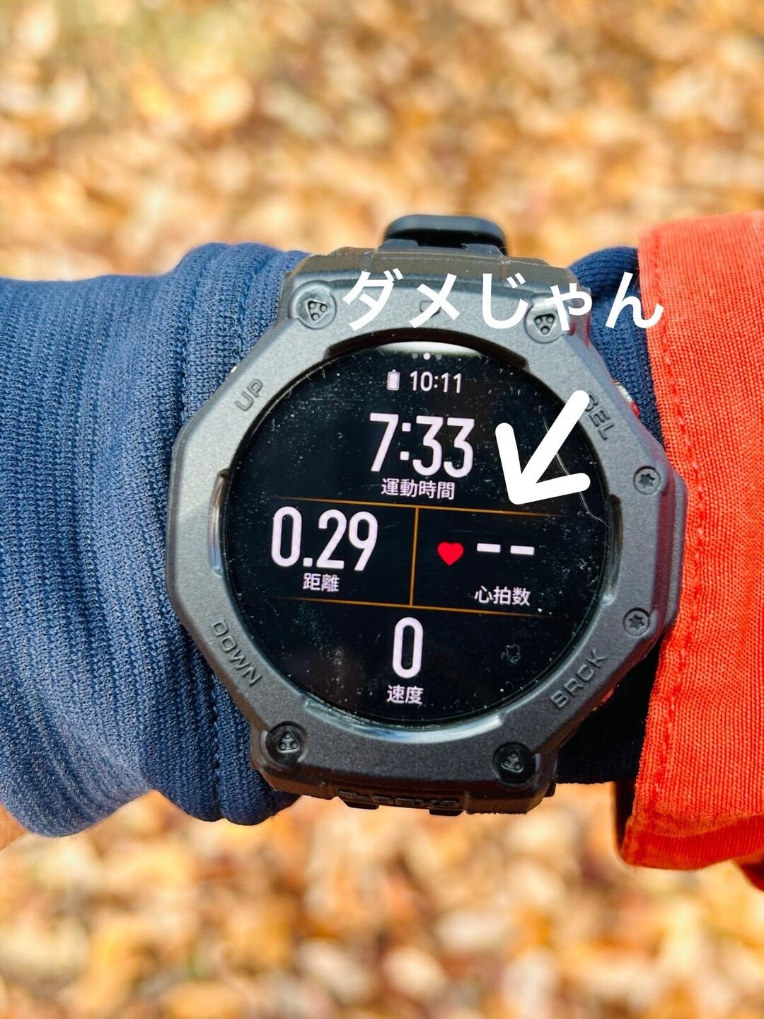 Amazfit T-Rex 3 「服の上... / チルチルさんのモーメント | YAMAP / ヤマップ
