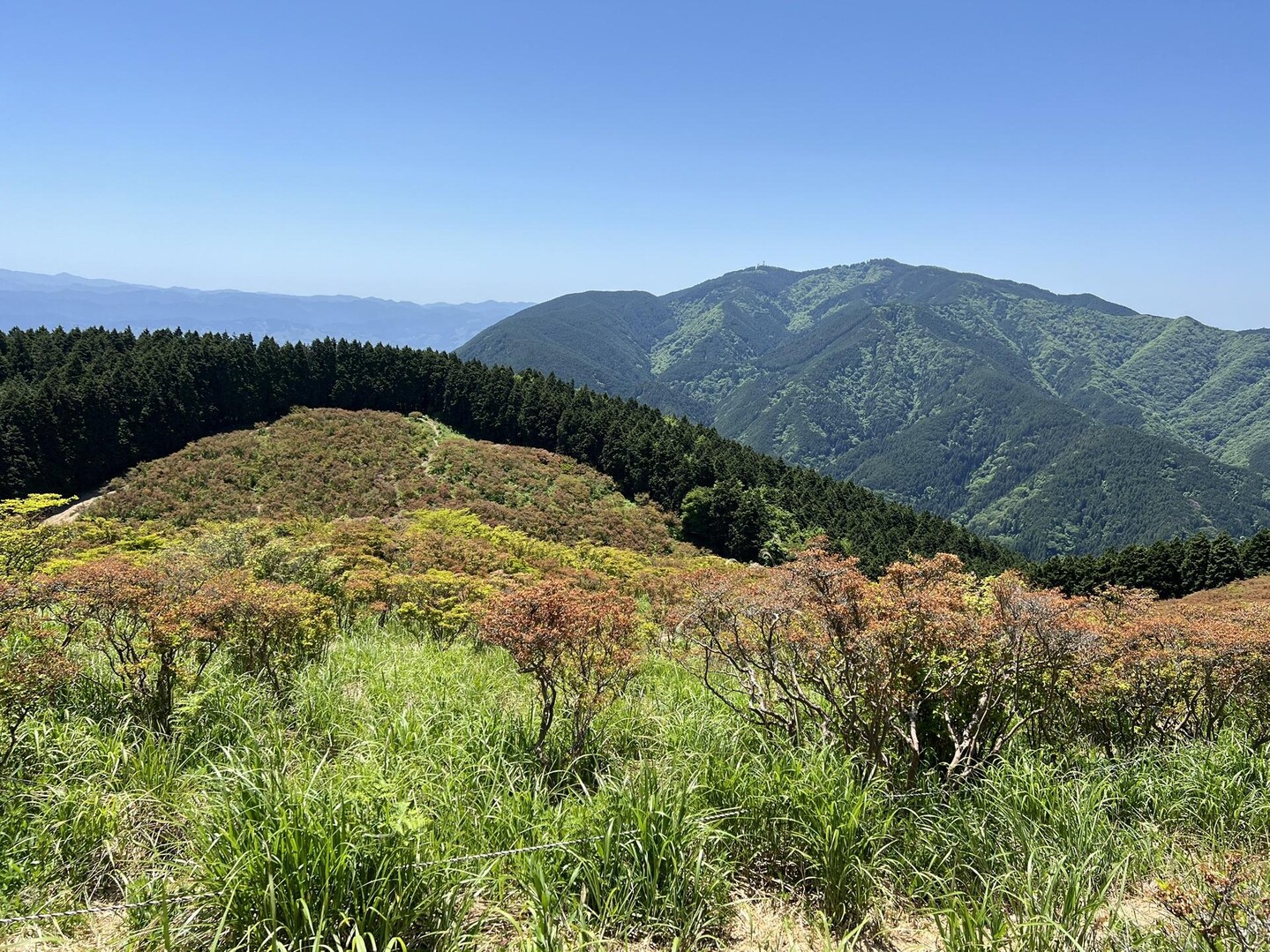 静かな大和葛城山⛰️ / sinoさんさんの金剛山・二上山・大和葛城山の活動データ | YAMAP / ヤマップ