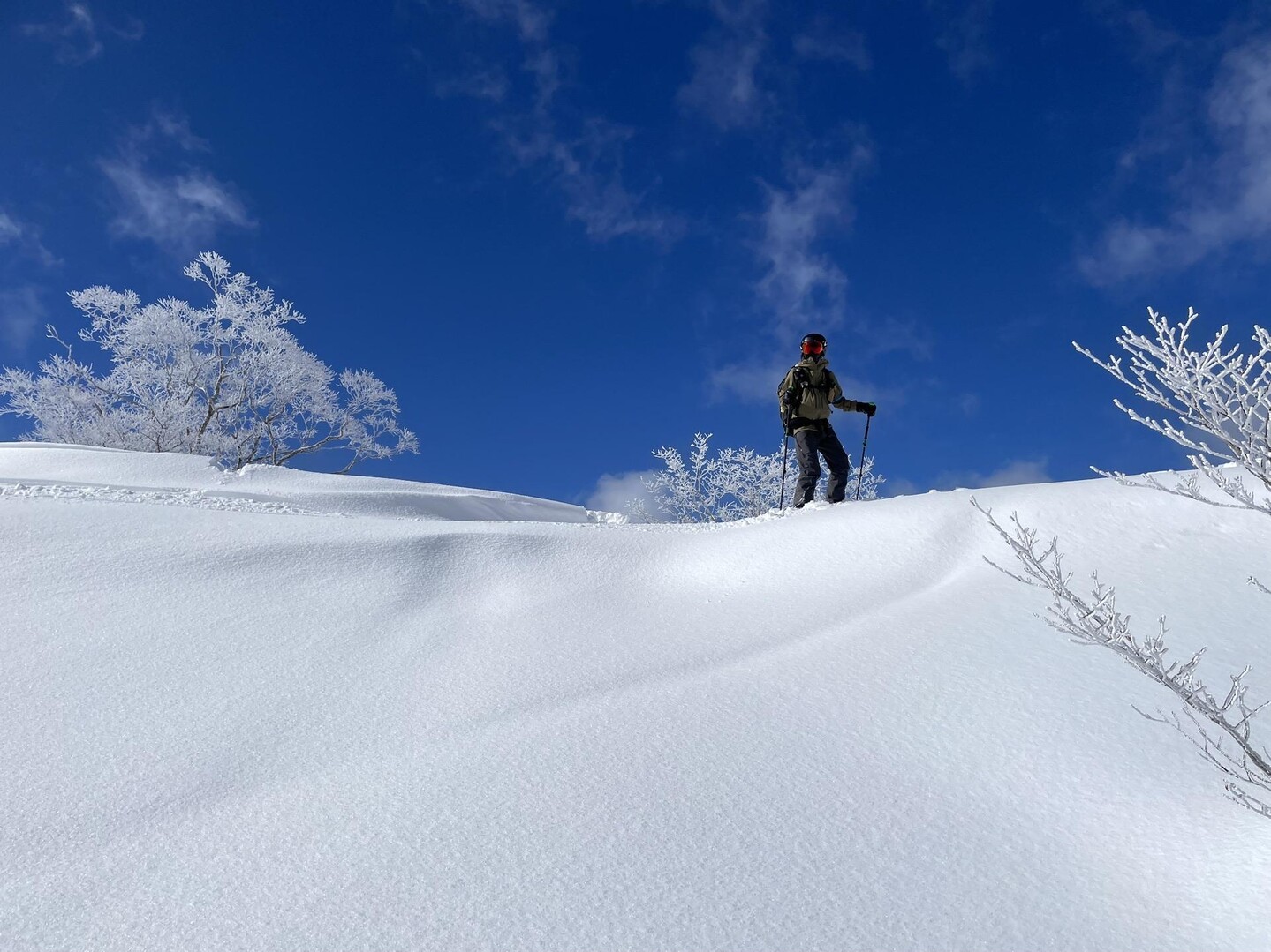 Day2 大日ヶ岳BC⛷️ / こずえさんの大日ヶ岳・毘沙門岳の活動データ | YAMAP / ヤマップ