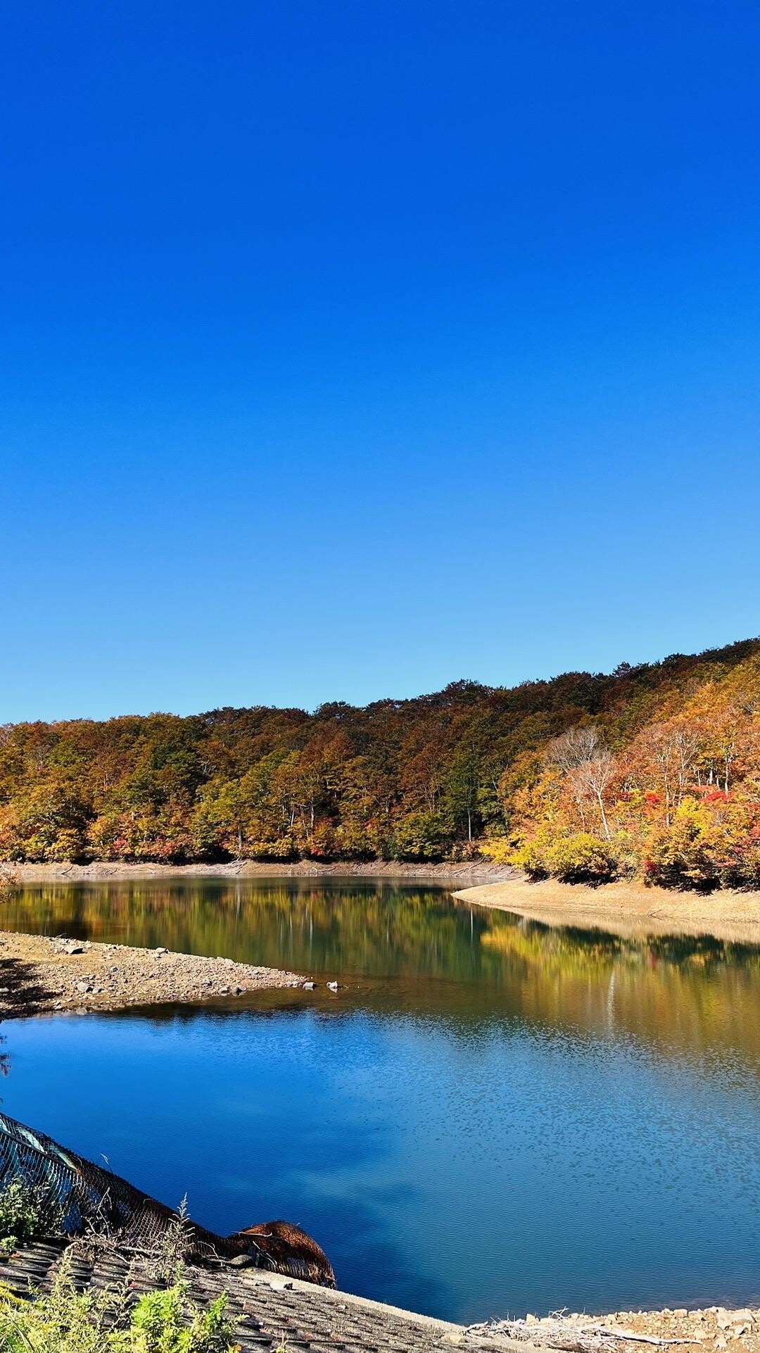 黒倉山・鍋倉山 / mayuさんの毛無山・黒岩山・鍋倉山・信越トレイル（赤池・希望湖・桂池・関田峠）の活動データ | YAMAP / ヤマップ