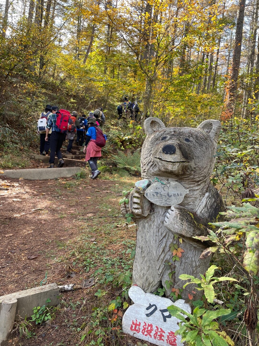 紅葉🍁Part 2 守屋山散策 / めがね猿さんの守屋山の活動データ | YAMAP / ヤマップ