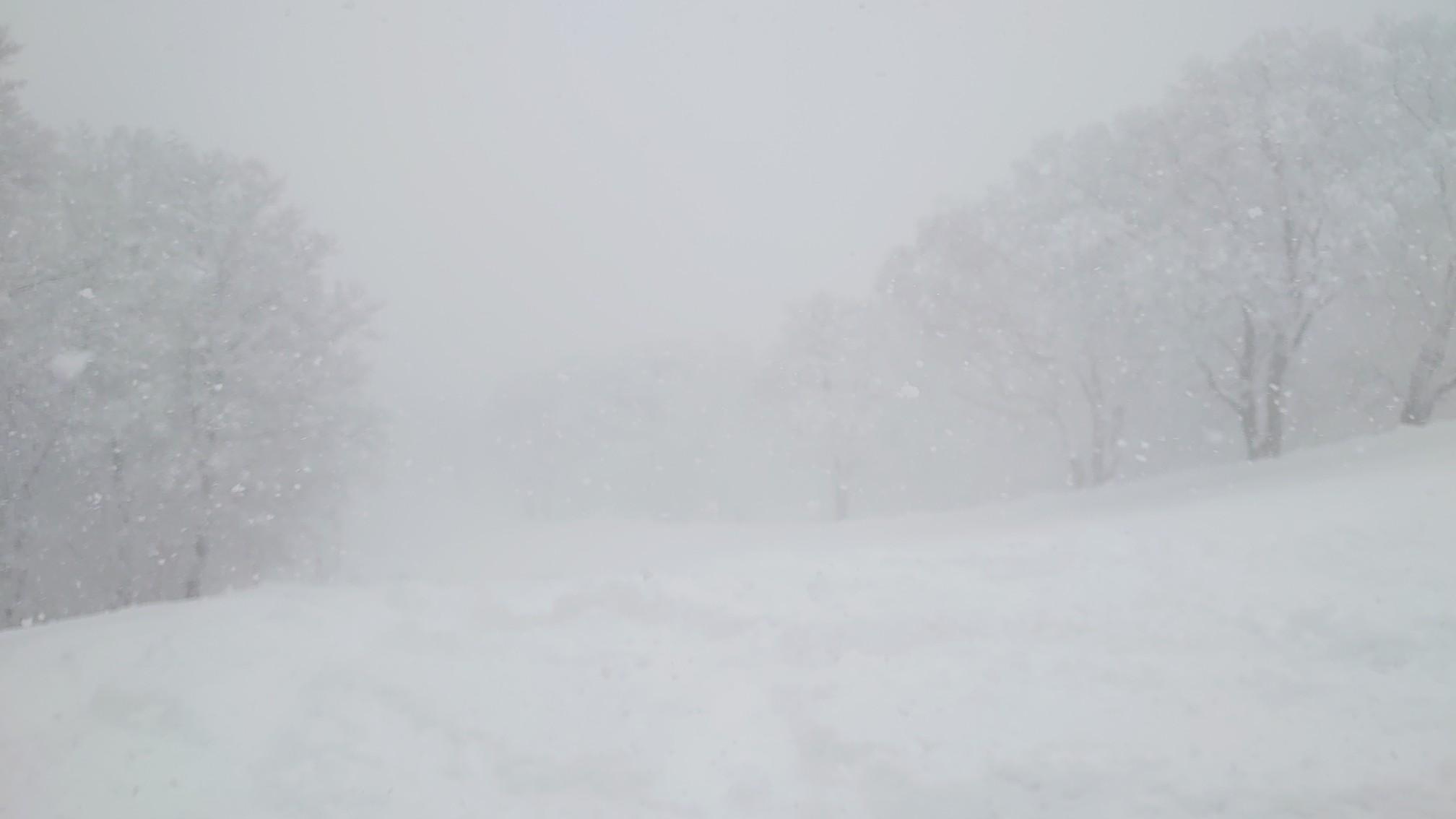 今日は一日、終日パウダー 15:30の... / Pakkun🚶 & もんちむ🐒さんのモーメント | YAMAP / ヤマップ