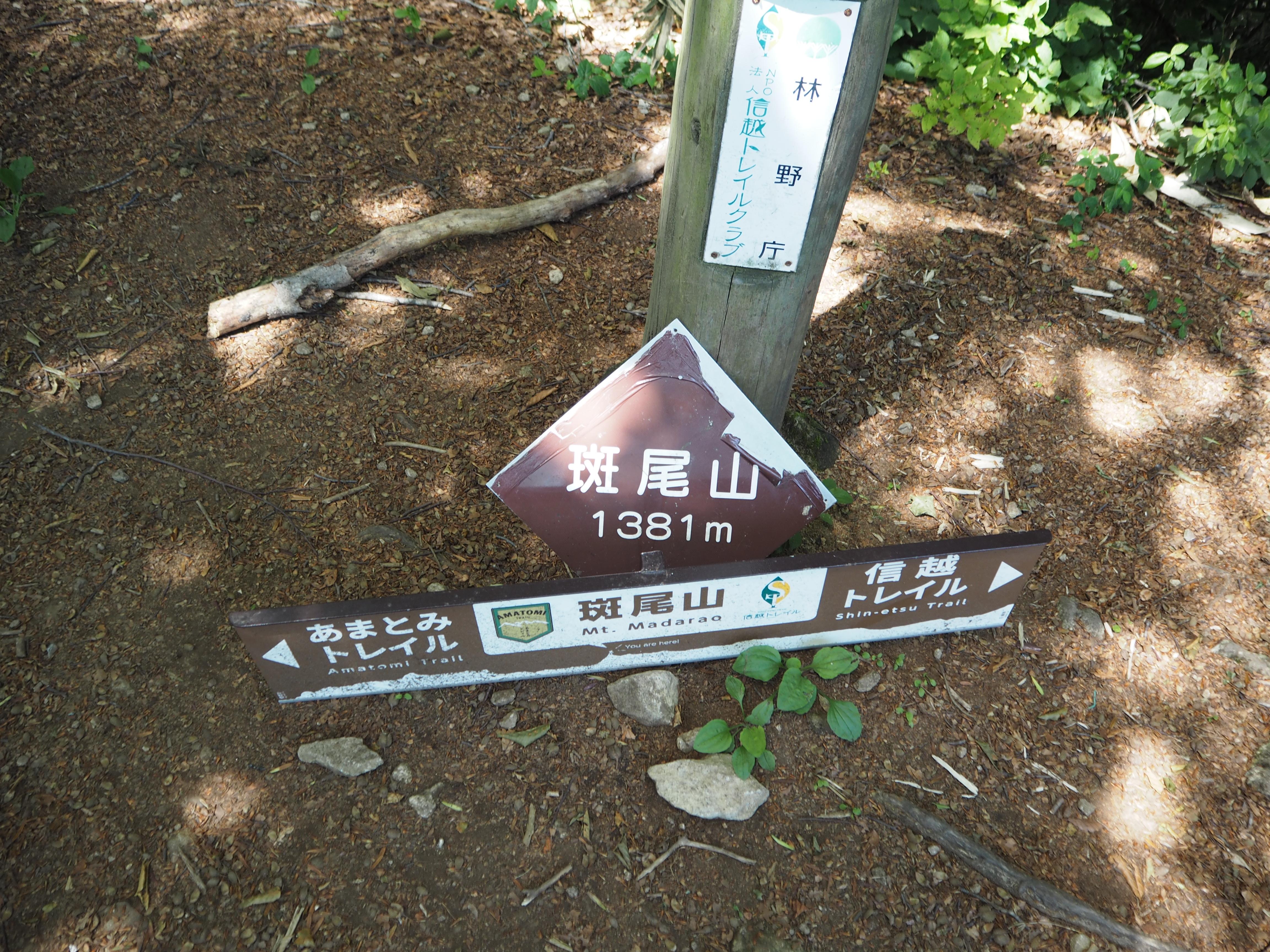 信越トレイル2️⃣ / mororonさんの毛無山・黒岩山・鍋倉山・信越トレイル（赤池・希望湖・桂池・関田峠）の活動データ | YAMAP ...