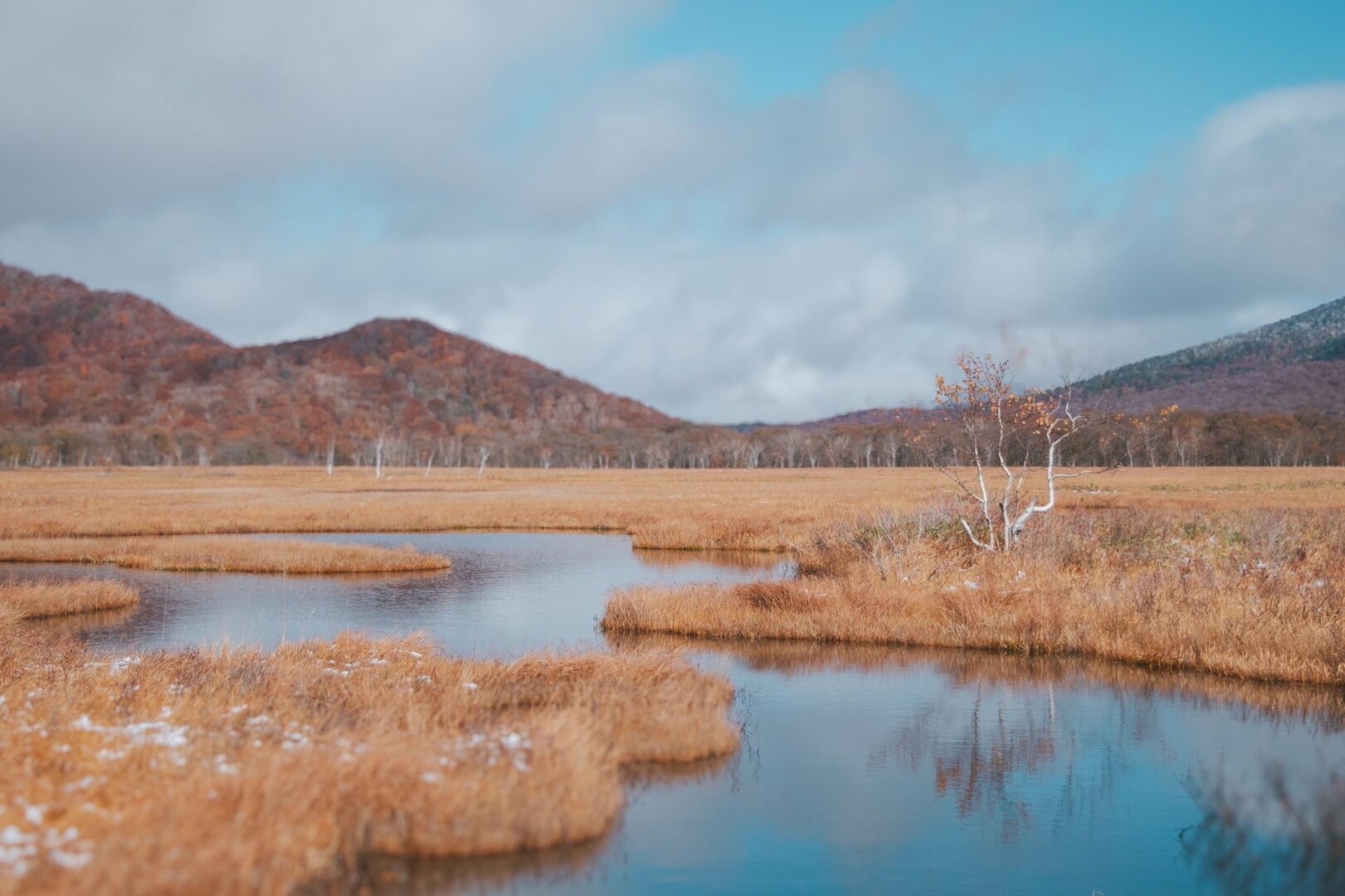 尾瀬ヶ原トレッキングvol.2 / かずにいさんの尾瀬・至仏山・悪沢岳・笠ヶ岳の活動データ | YAMAP / ヤマップ