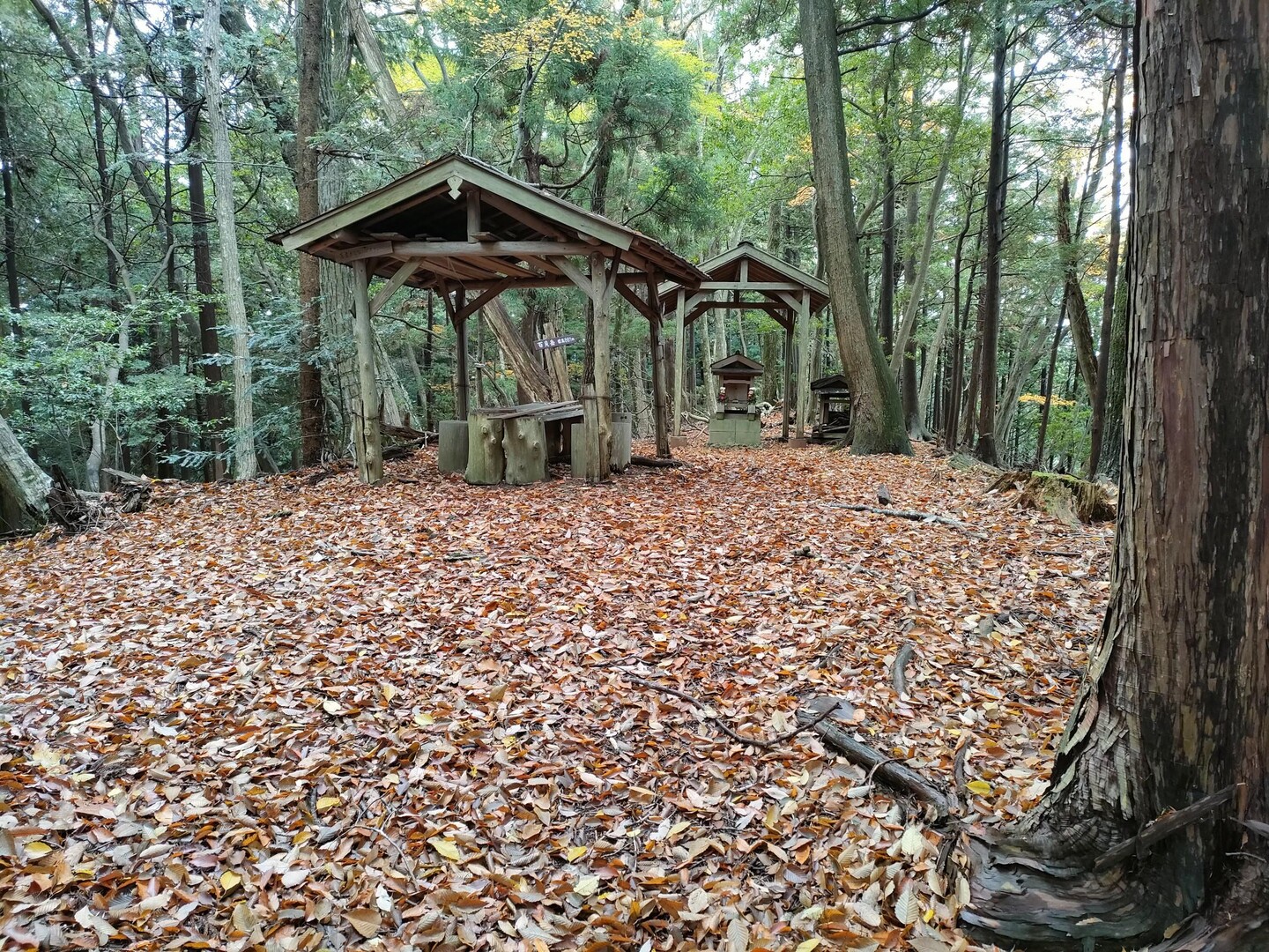 komaJさんの投稿したフィールドメモ | YAMAP / ヤマップ