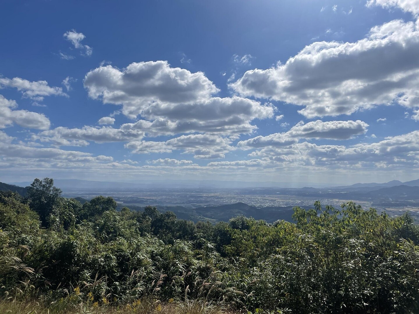 彦岳 彦嶽宮 / Emi.sugaさんの震岳・日輪寺山の活動データ | YAMAP / ヤマップ