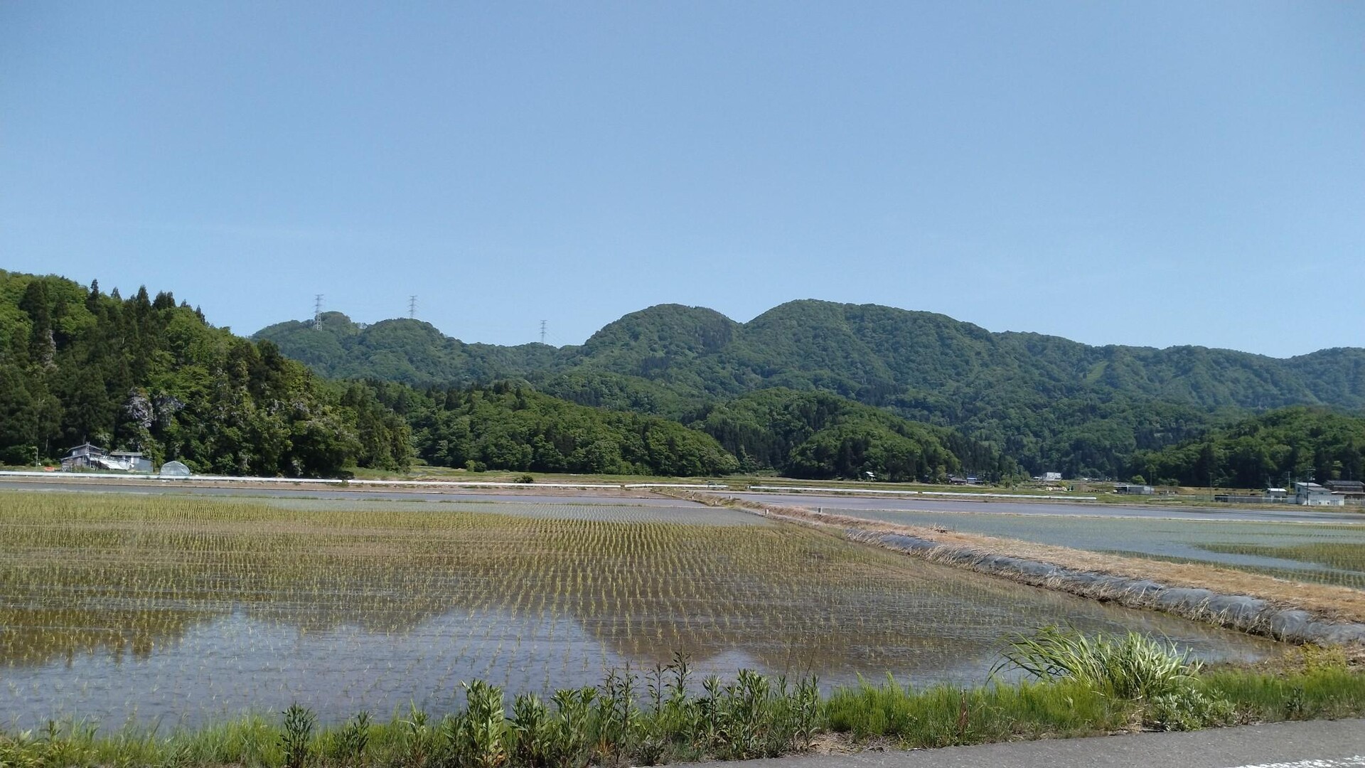 南条八石山-2024-05-11 / むらやまKさんの八石山の活動データ | YAMAP / ヤマップ