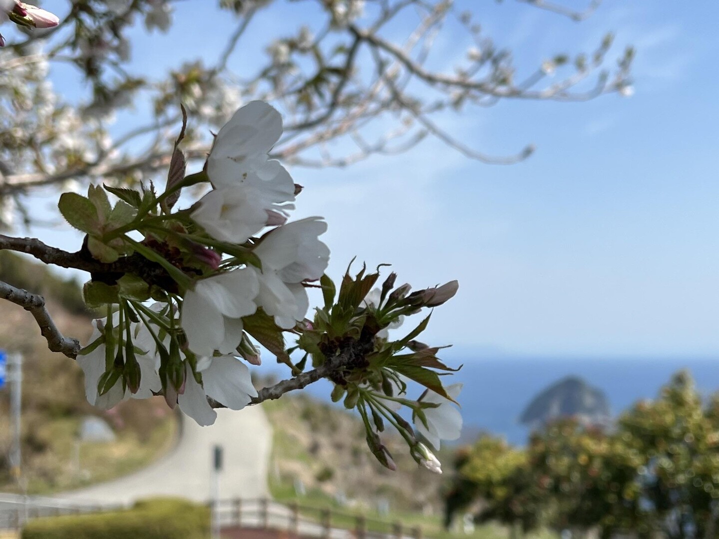 石槌山・瀬平山 / ユーザーDubyさんの元越山・色利山・石槌山の活動データ | YAMAP / ヤマップ