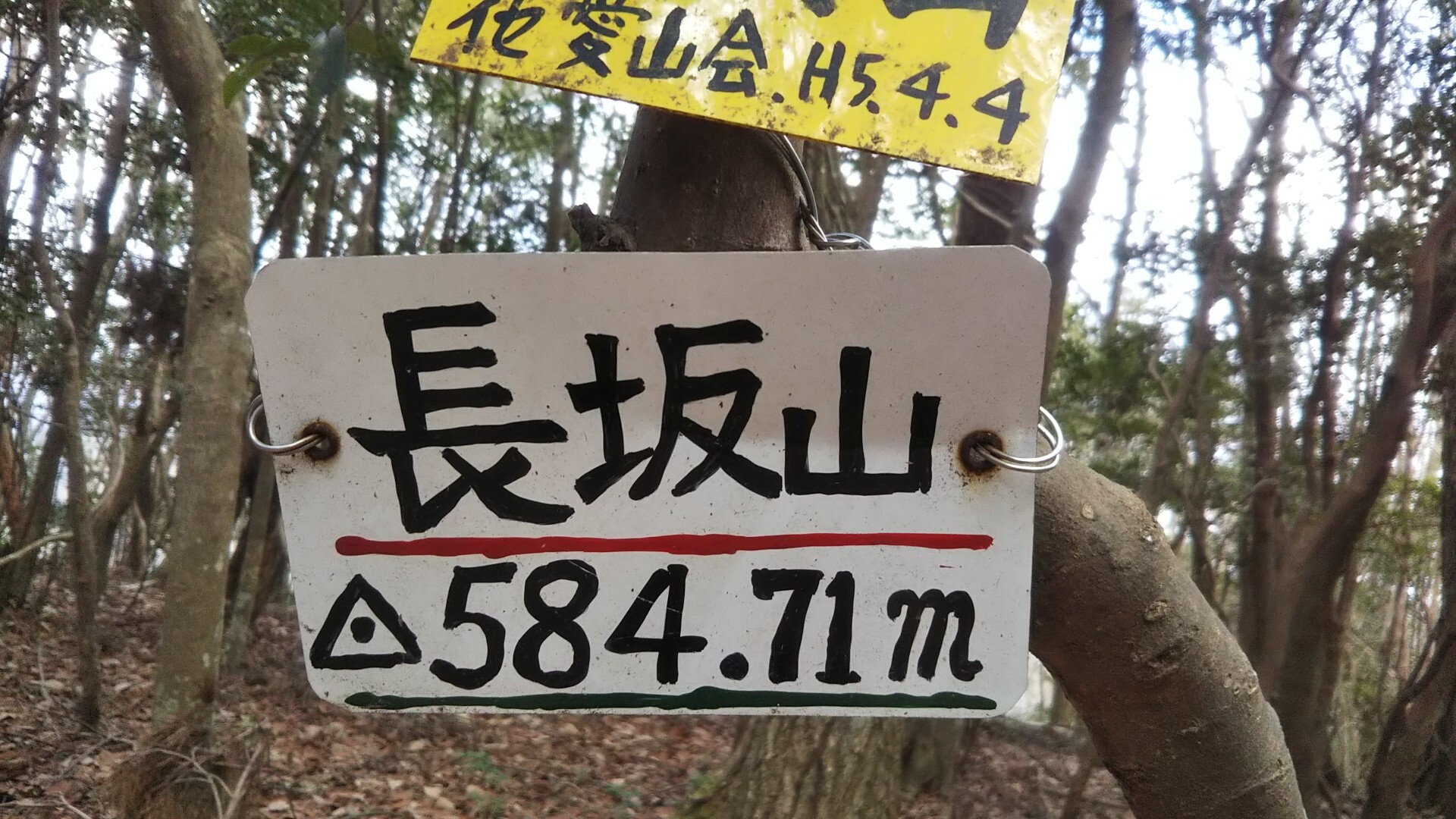 長坂山【584.7m】ﾄﾚｯｷﾝｸﾞｺｰｽと赤目四十八滝散策 / さとちゃんさんの長坂山・赤目四十八滝の活動データ | YAMAP / ヤマップ