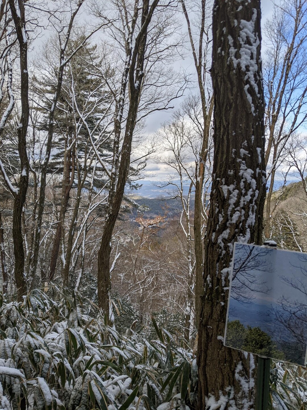 新雪☃️の曽良山 / ま〜くん目指せ100名山 さんの曽良山（鶴岡山・西山）の活動データ | YAMAP / ヤマップ