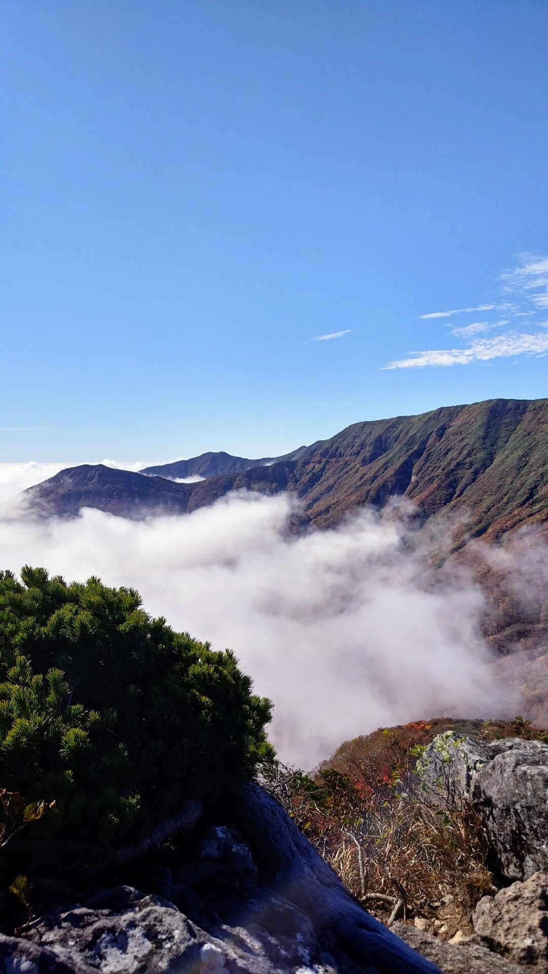 POKAさんの投稿したフィールドメモ | YAMAP / ヤマップ