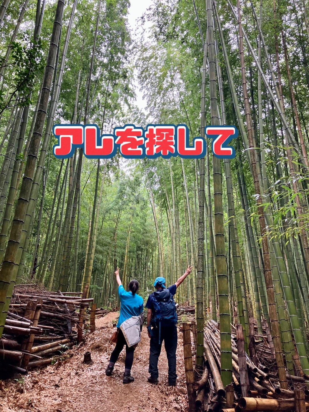 亀尾山に青い4人組参上😄 雨のため当初... / marronさんのモーメント | YAMAP / ヤマップ