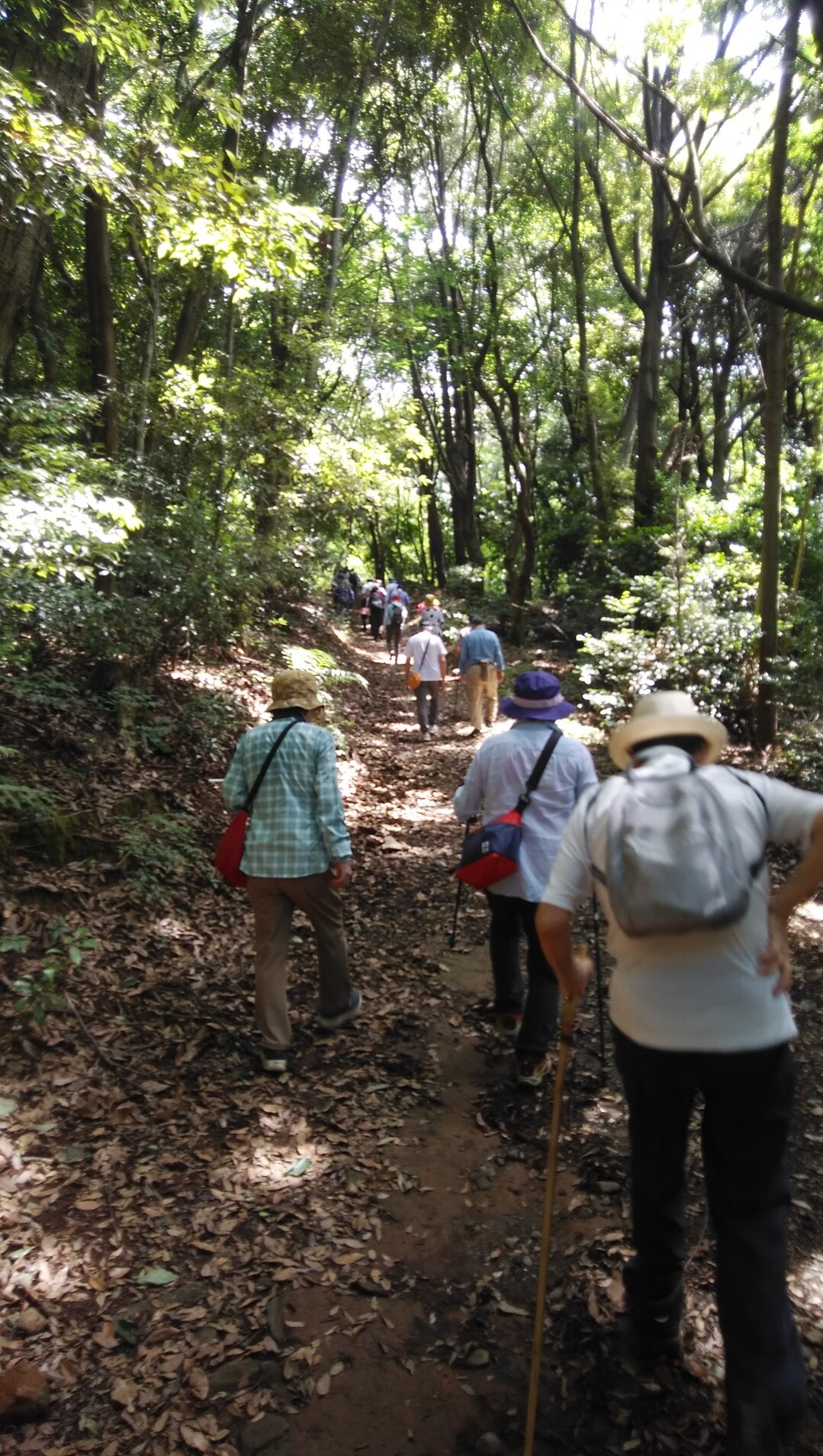 KSN立田山散策クラブ 6月27日月曜日 / 立田山の写真20枚目 | YAMAP / ヤマップ