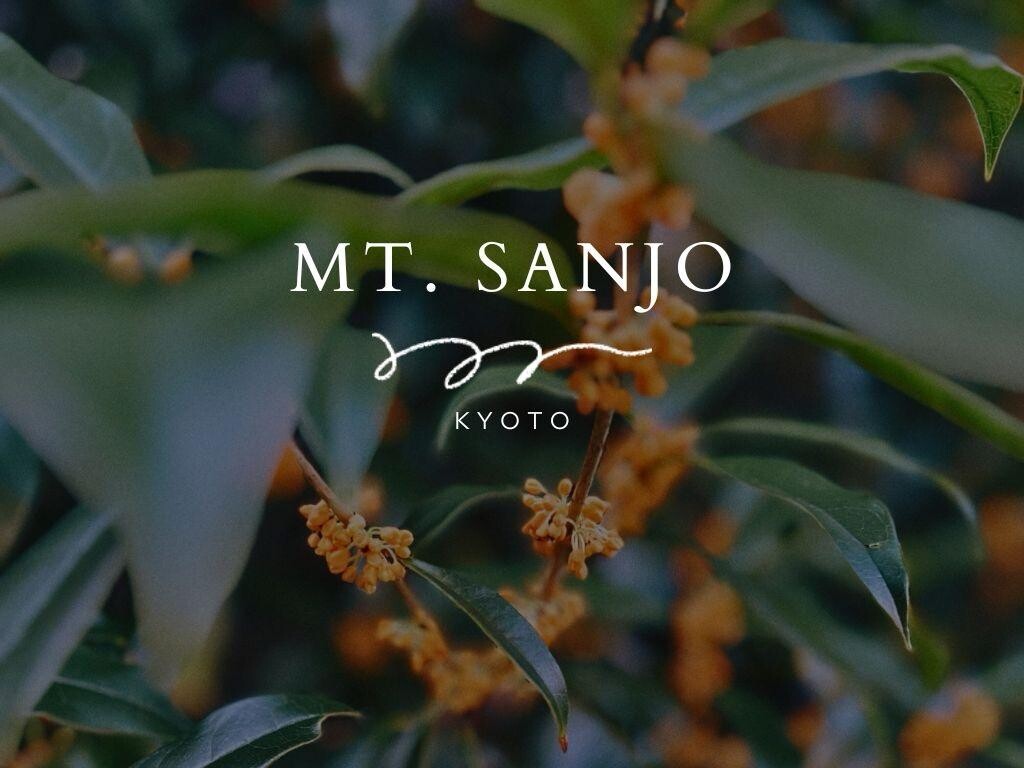 三上山・鳶ヶ城 / Karinさんの三上山・大焼山の活動データ | YAMAP / ヤマップ