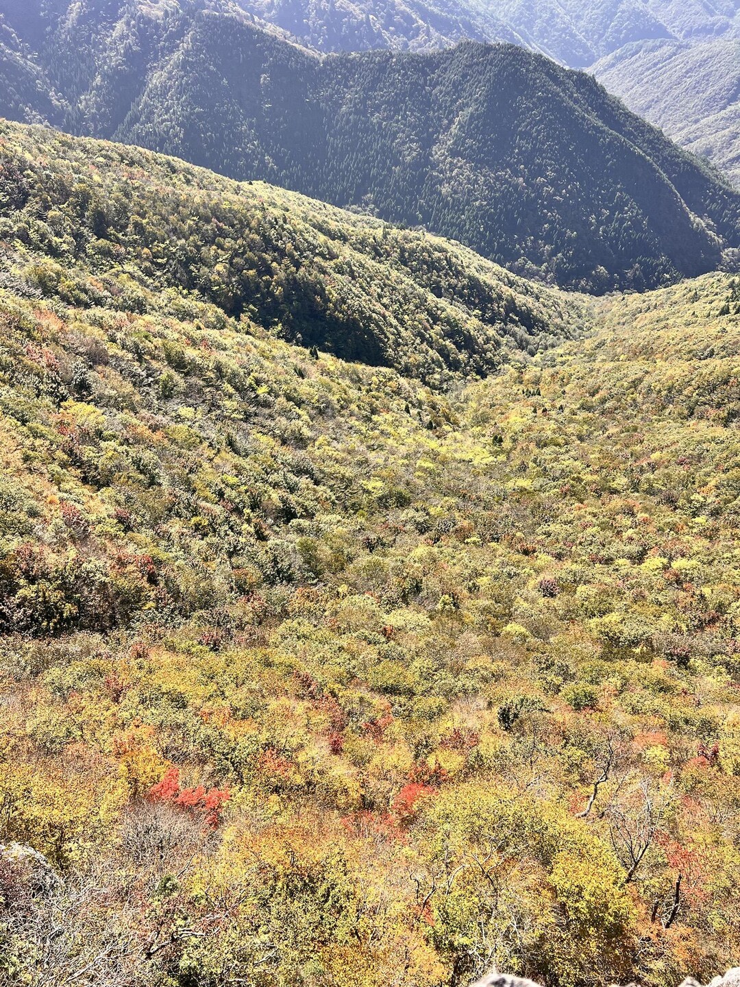 11/3紅葉してない赤谷山 / PEZさんの大神ヶ岳・赤谷山の活動データ | YAMAP / ヤマップ
