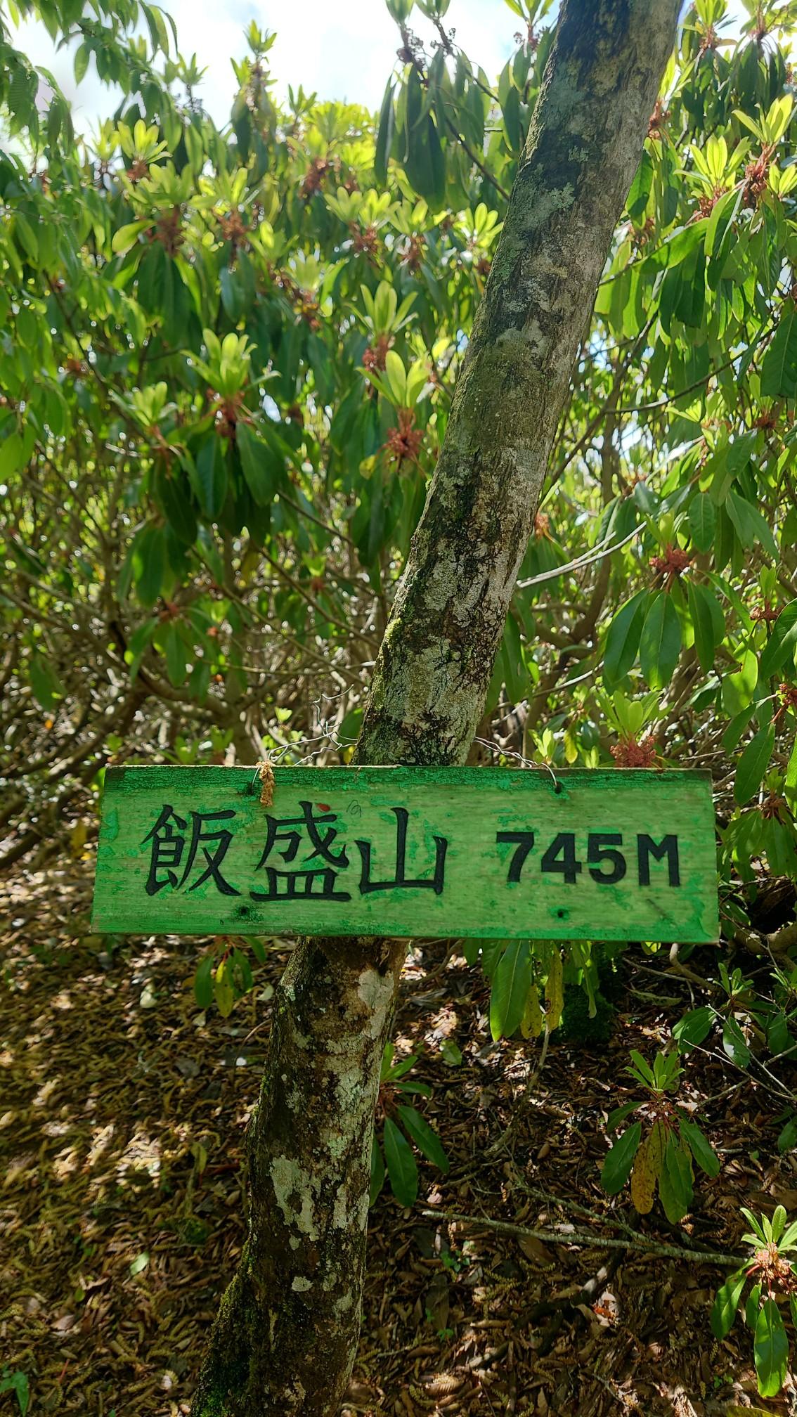飯盛山・西津汲 / ゆき♡ママさんの鍋倉山・飯盛山の活動データ | YAMAP / ヤマップ
