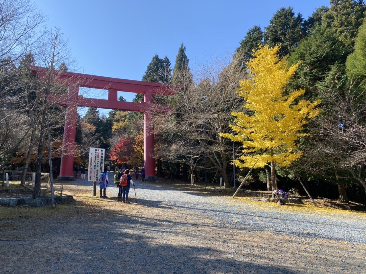 ウォーキング-2021-11-20 / syさんのウォーキングの活動データ | YAMAP / ヤマップ