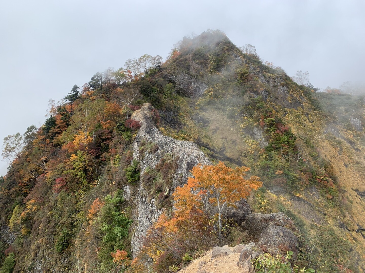 戸隠山 / joeさんの高妻山・戸隠山の活動データ | YAMAP / ヤマップ
